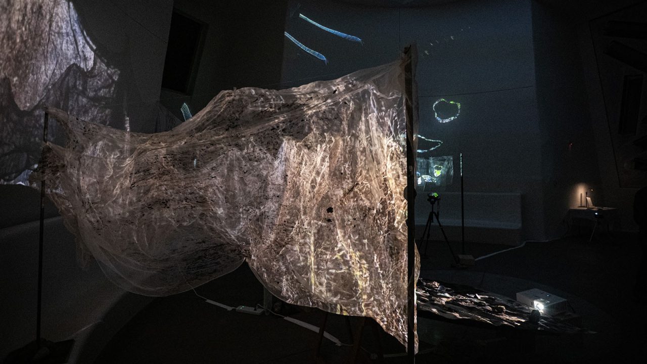 Southwest Contemporary features UNM College of Fine Arts Graduate ...